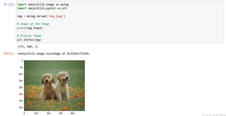 Reading an image using multiple Libraries? - Nomidl