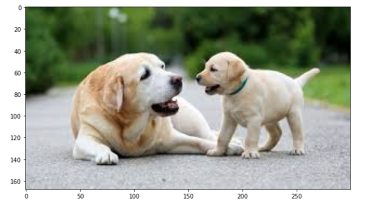 What is histogram equalizer? How does it work? - Nomidl