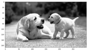 What is histogram equalizer? How does it work? - Nomidl