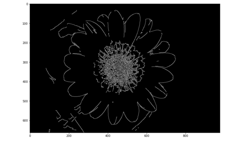 Comprehensive Guide to Canny Edge Detection with Examples - Nomidl